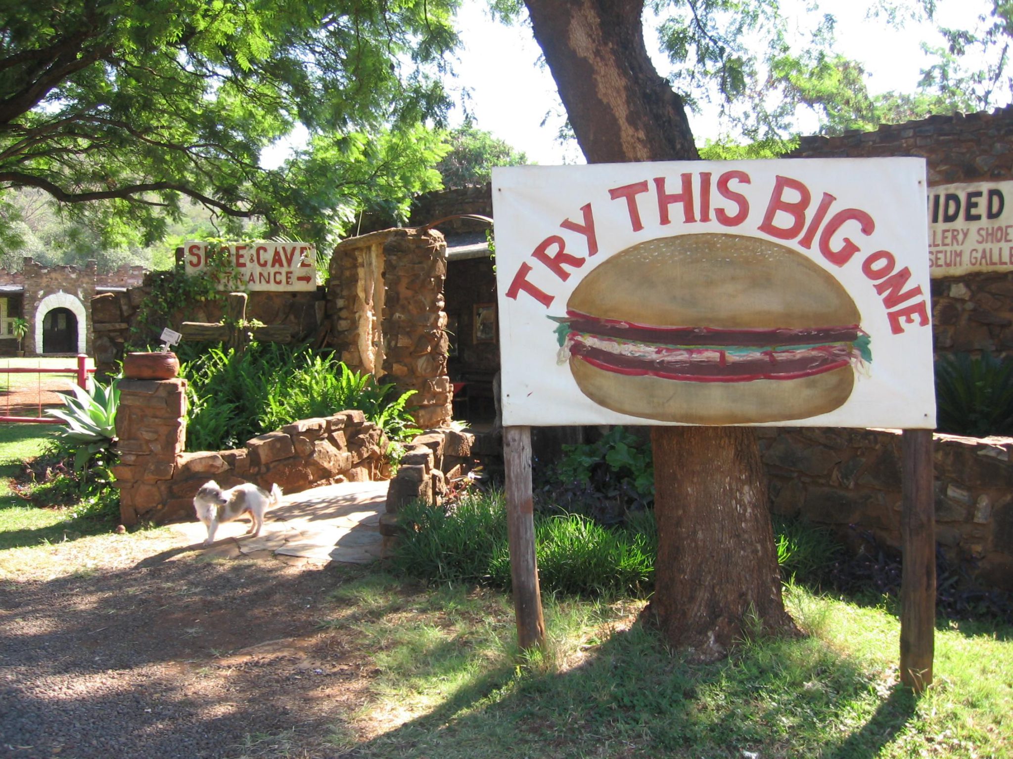 The Shoe Tea Garden and Restaurant | The Shoe